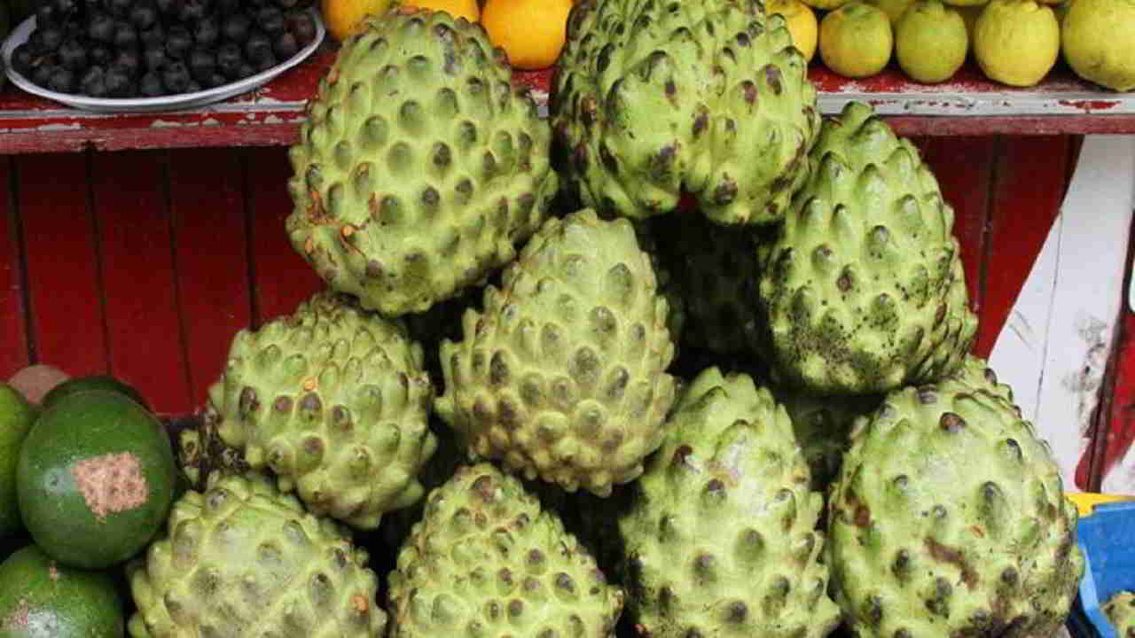 Crème au corossol - Recettes et Terroirs