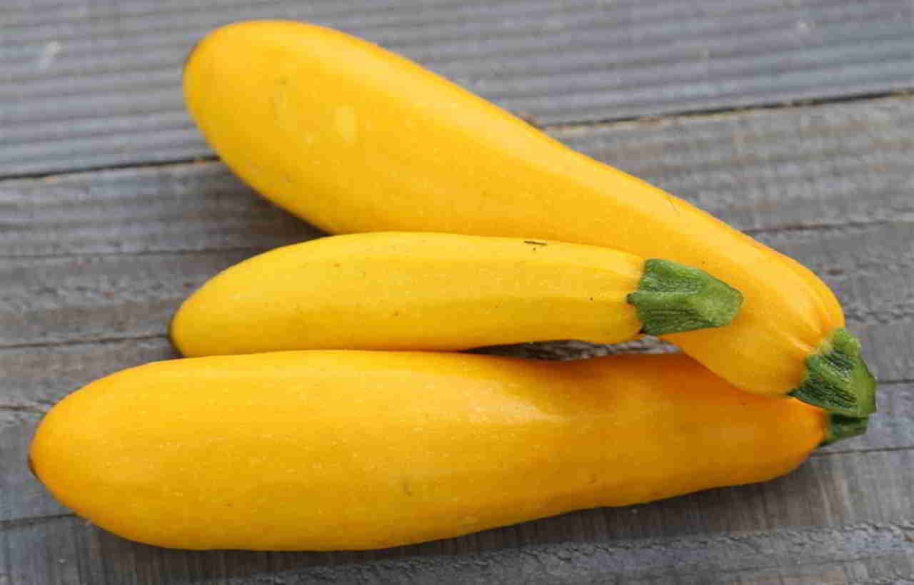 Courgettes jaunes au parmesan - Recettes et Terroirs