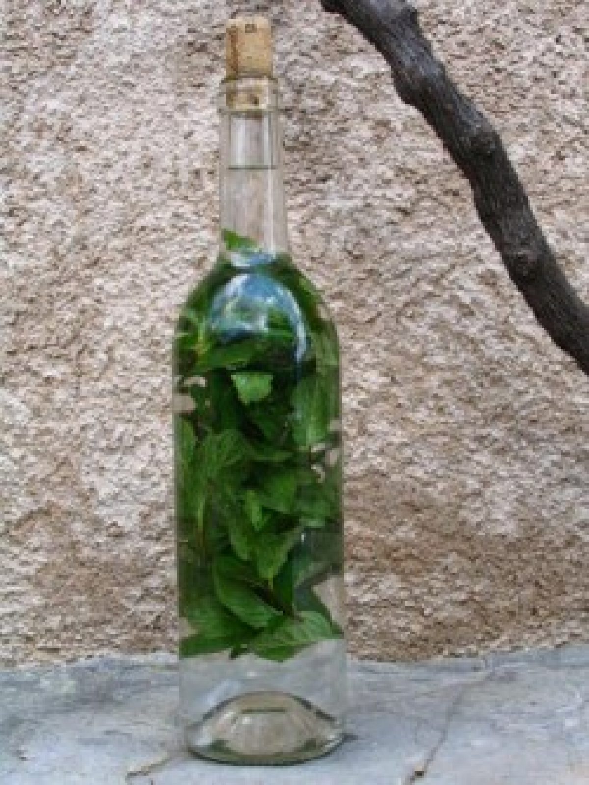 Recette Alcool Menthe Maison | Ventana Blog